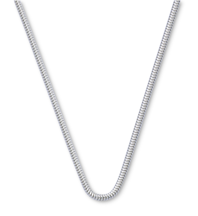Sterling Silver Snake Chain Necklace